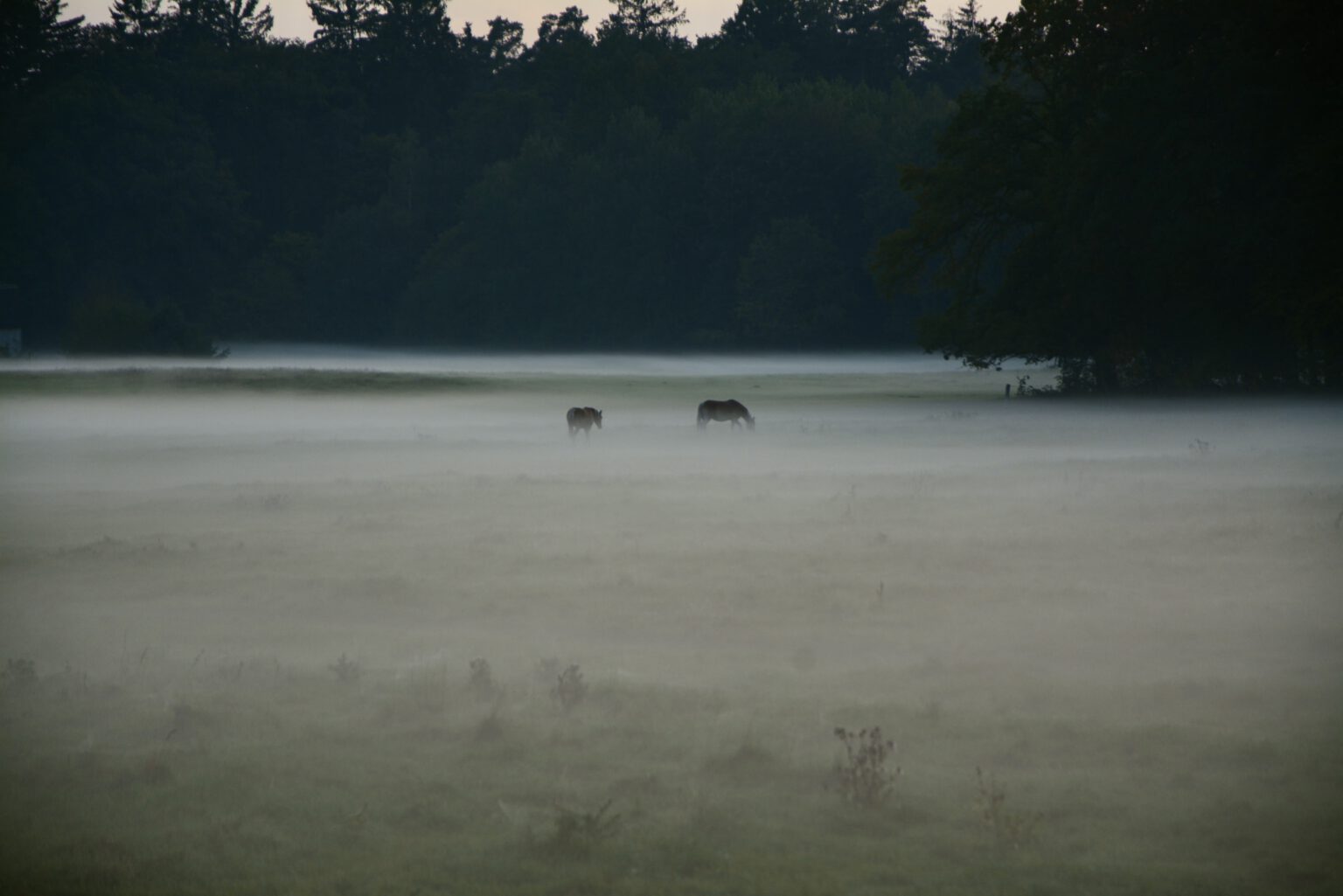 Ausflugsziele – Alte Ausspanne Walkendorf